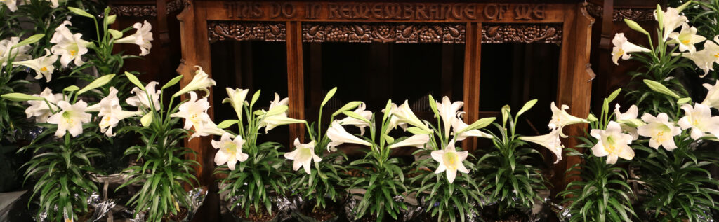 Easter Lily Order Form - St. Paul United Methodist Church